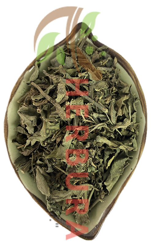 Duppy Gun (Ruellia Tuberosa) - Bladder, Kidney, & Bronchitis Support ...