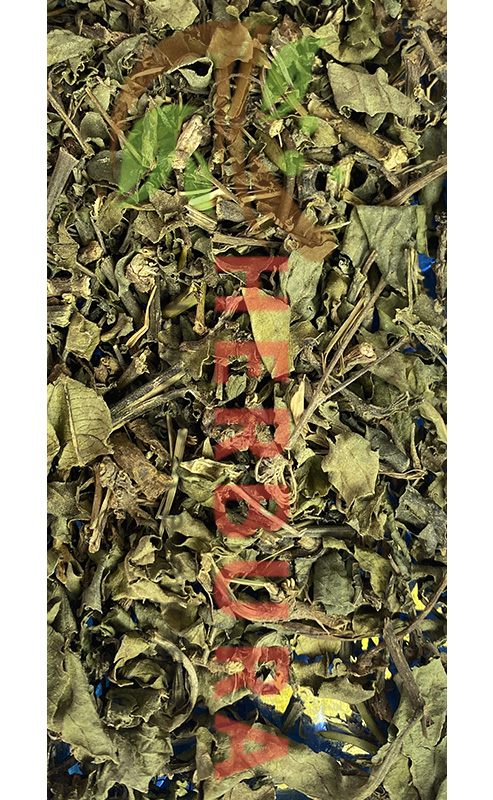 Duppy Gun (Ruellia Tuberosa) Tea Bags – Natural Healing and Wellness ...