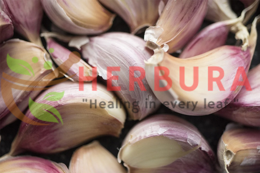 The Global History of Herbal Medicine: A Cultural Journey - Herbura