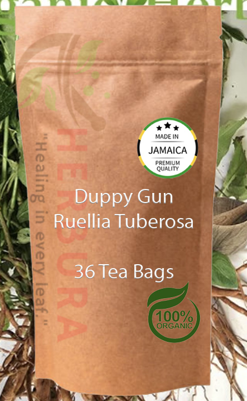Duppy Gun (Ruellia Tuberosa) Tea Bags – Natural Healing and Wellness ...